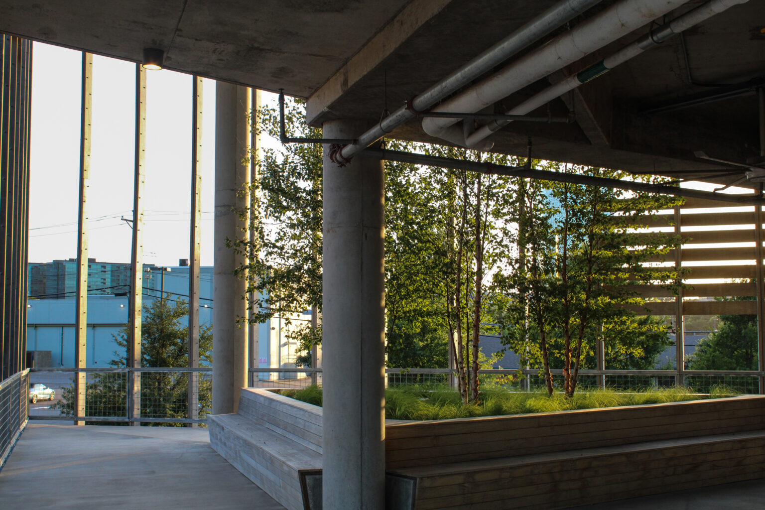 Uncovering a World Within - Columns - AIA Dallas