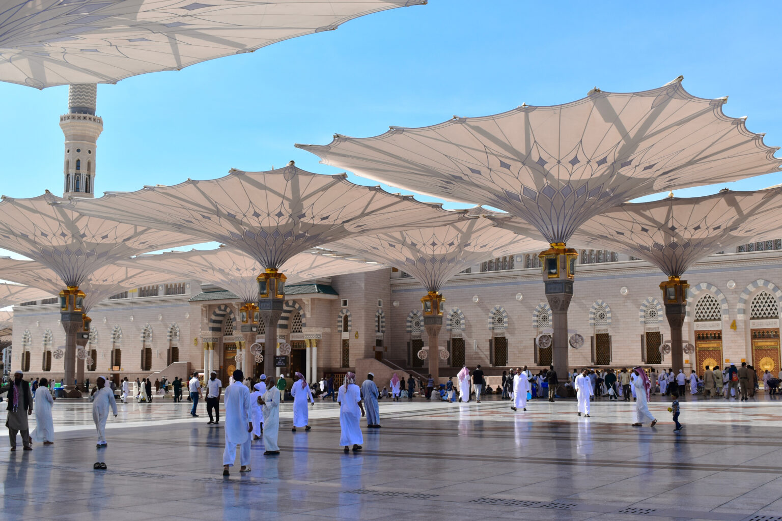 Throwing Shade - Columns - AIA Dallas