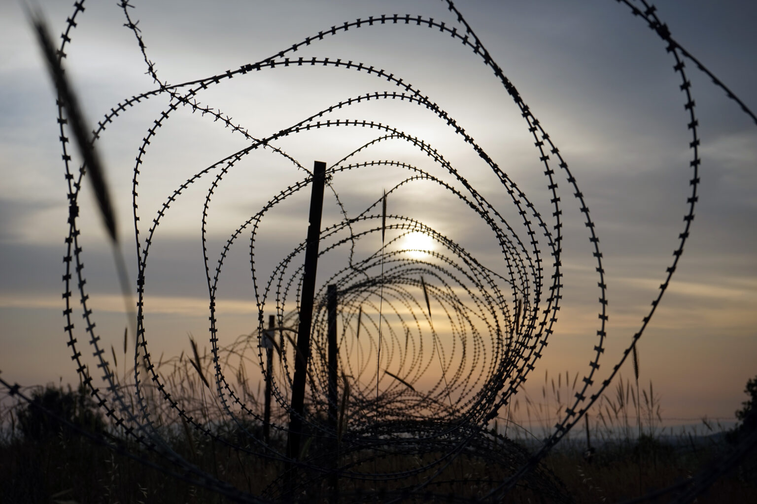 Beyond the Border: (Un)Rooted - Columns - AIA Dallas